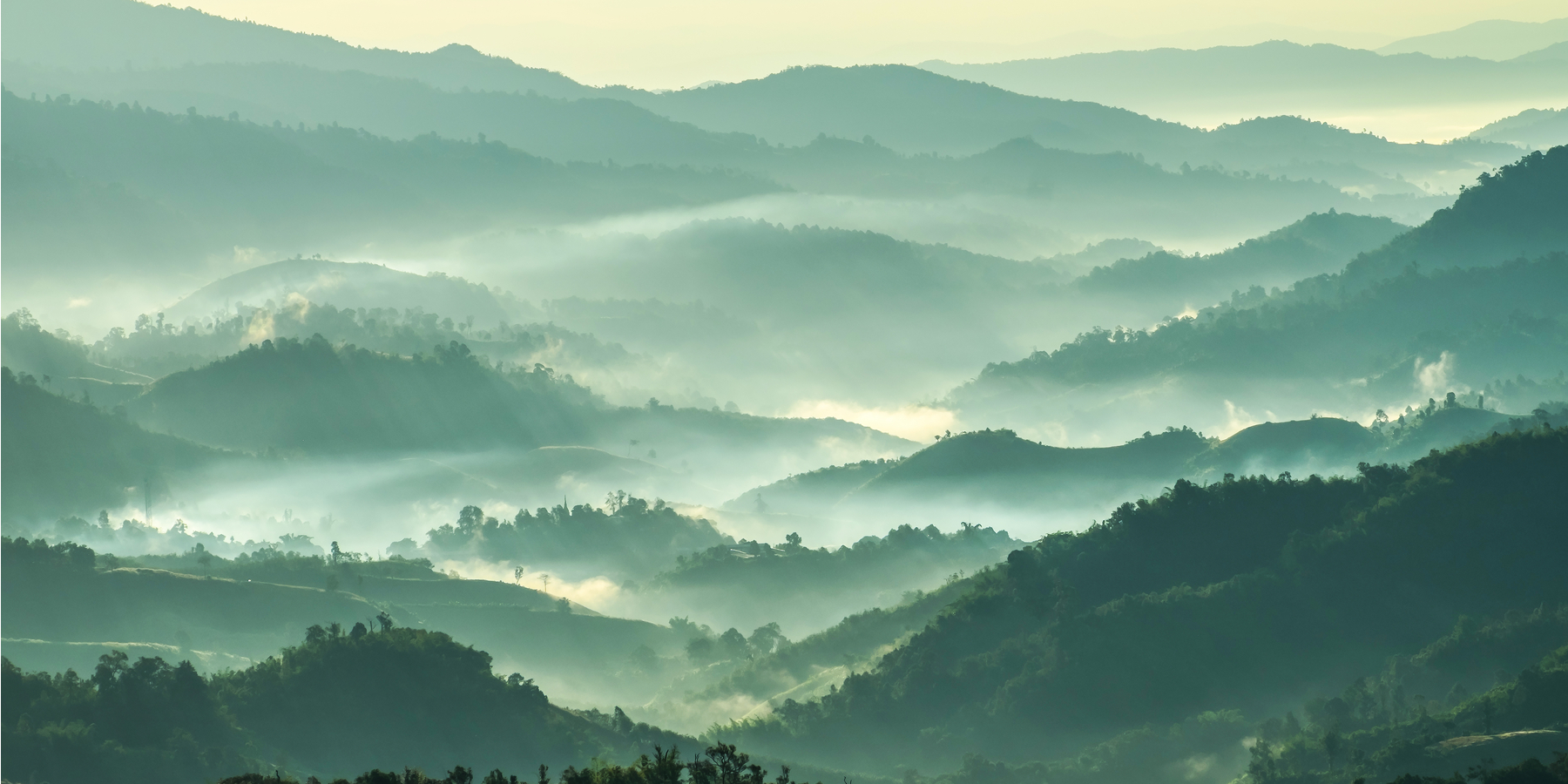 A Brief History of Environmental Bioethics | Journal of Ethics ...