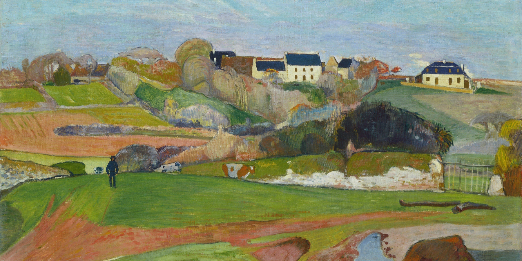 AMA Code of Medical Ethics’ Opinions on Ethics Committees and ...