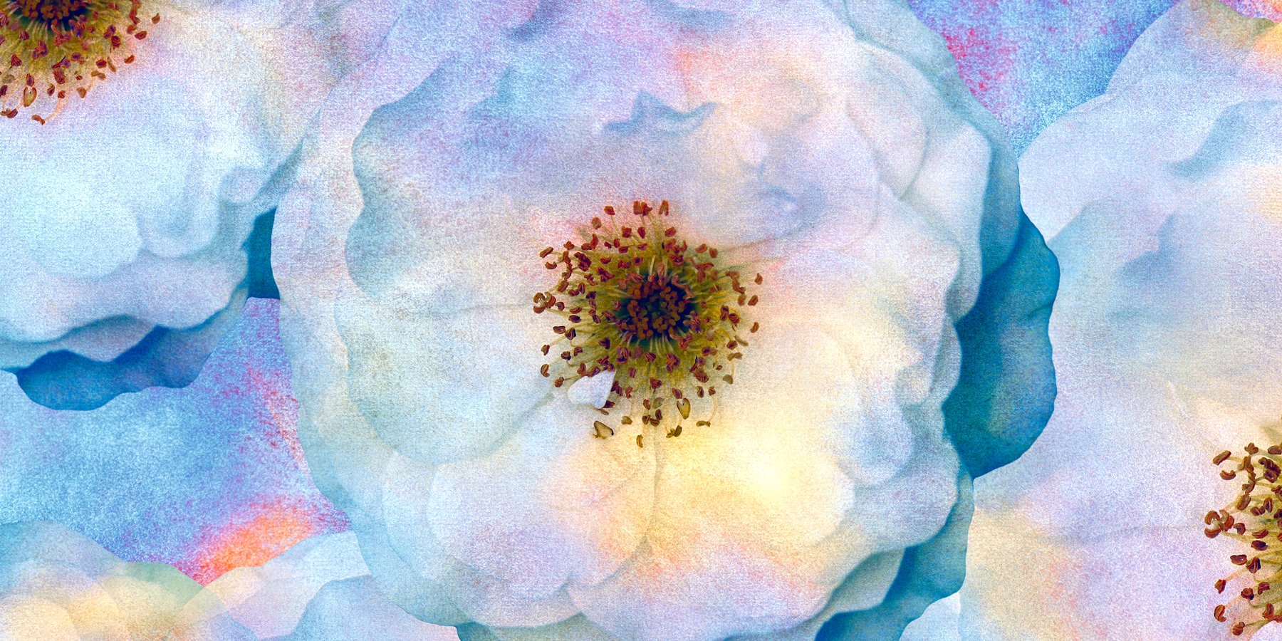 Helping Those Who Need It Most: Medical Education Focused on Poor and ...