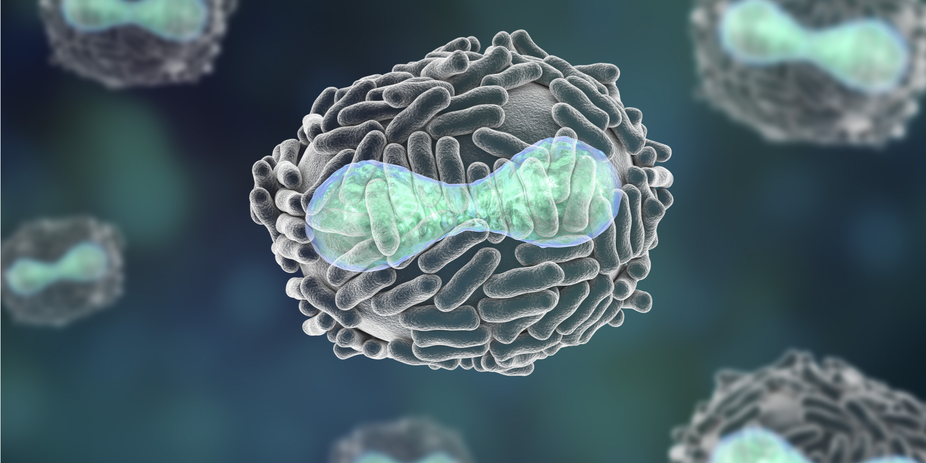 Diagnosis and Management of Smallpox | Journal of Ethics | American ...