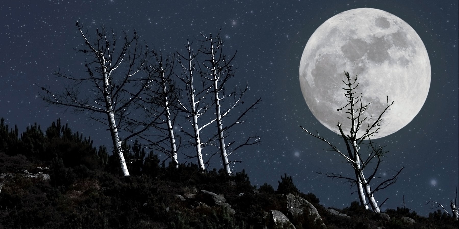 On Distinguishing Justifiable from Unjustifiable Paternalism | Journal ...