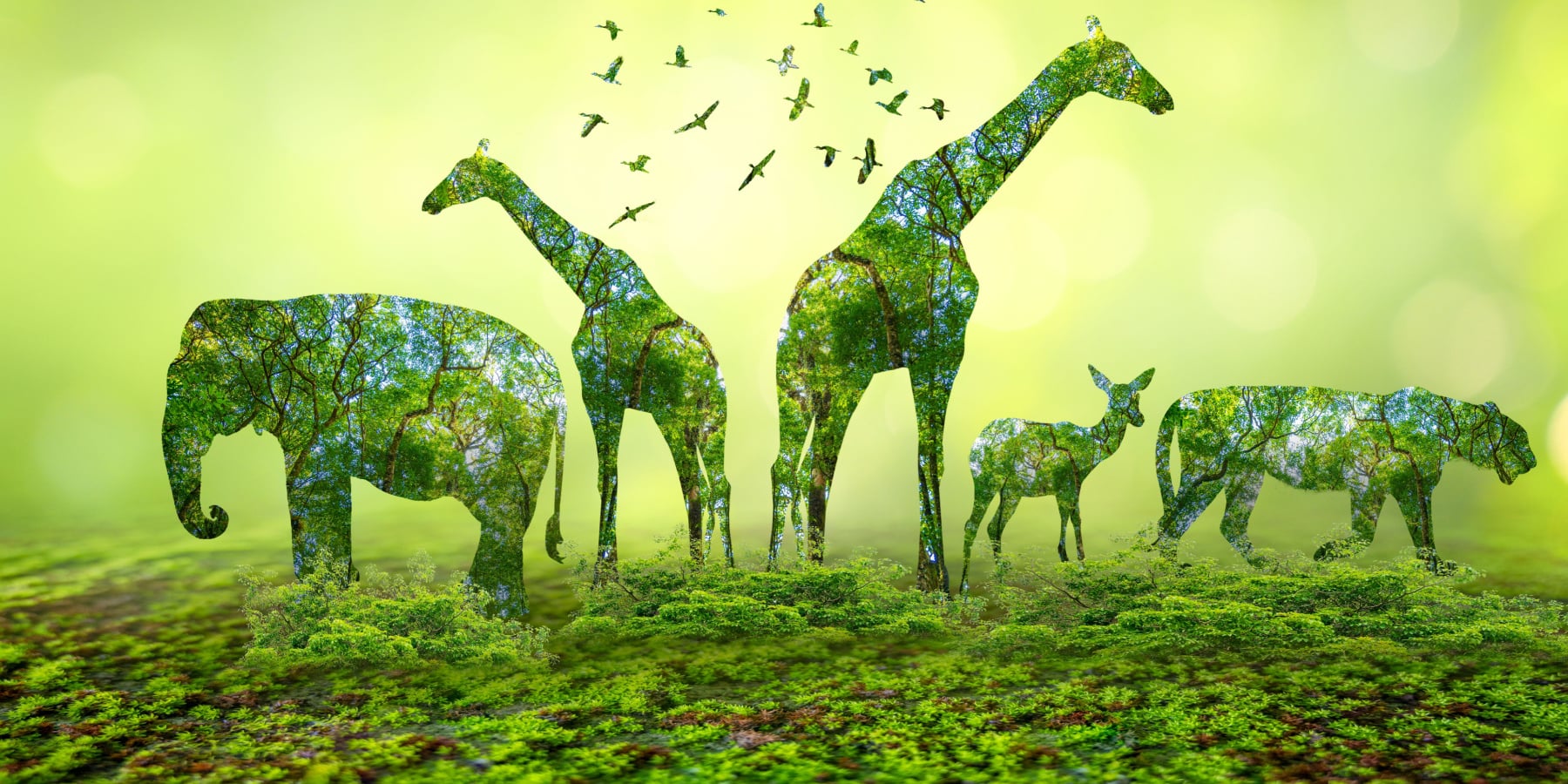 How One Health Instrumentalizes Nonhuman Animals | Journal of Ethics ...
