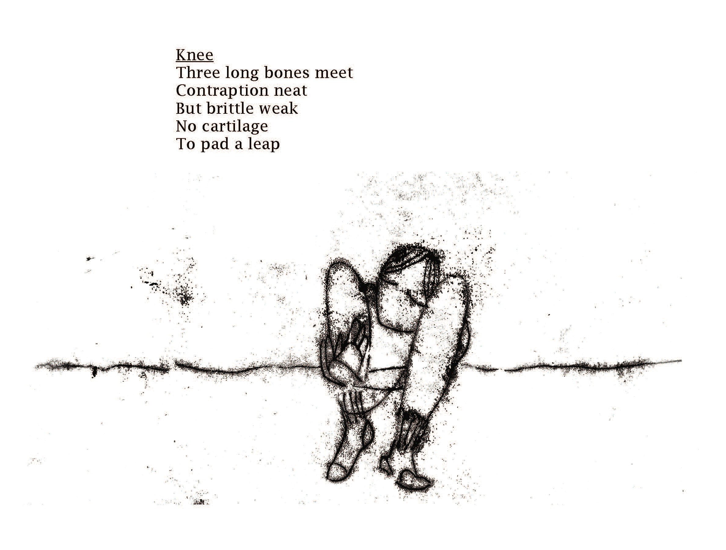 Perch and Peel in Illustrated Poems of Embodiment | Journal of Ethics ...