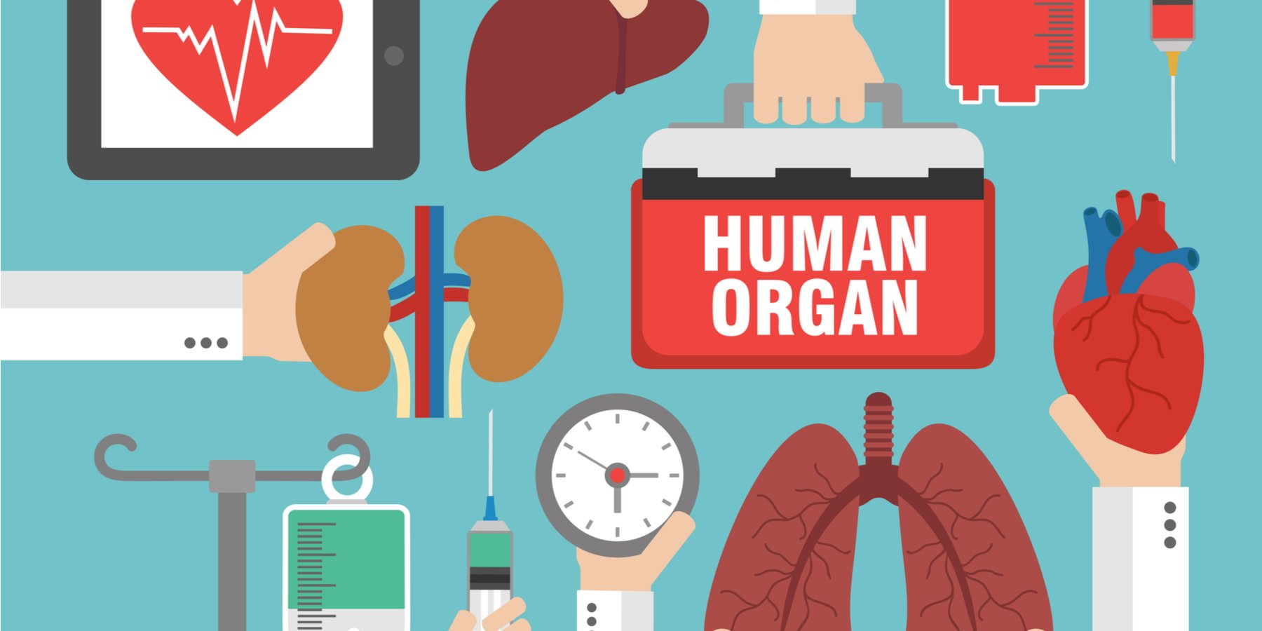 Organ Transplantation Journal Of Ethics American Medical Association