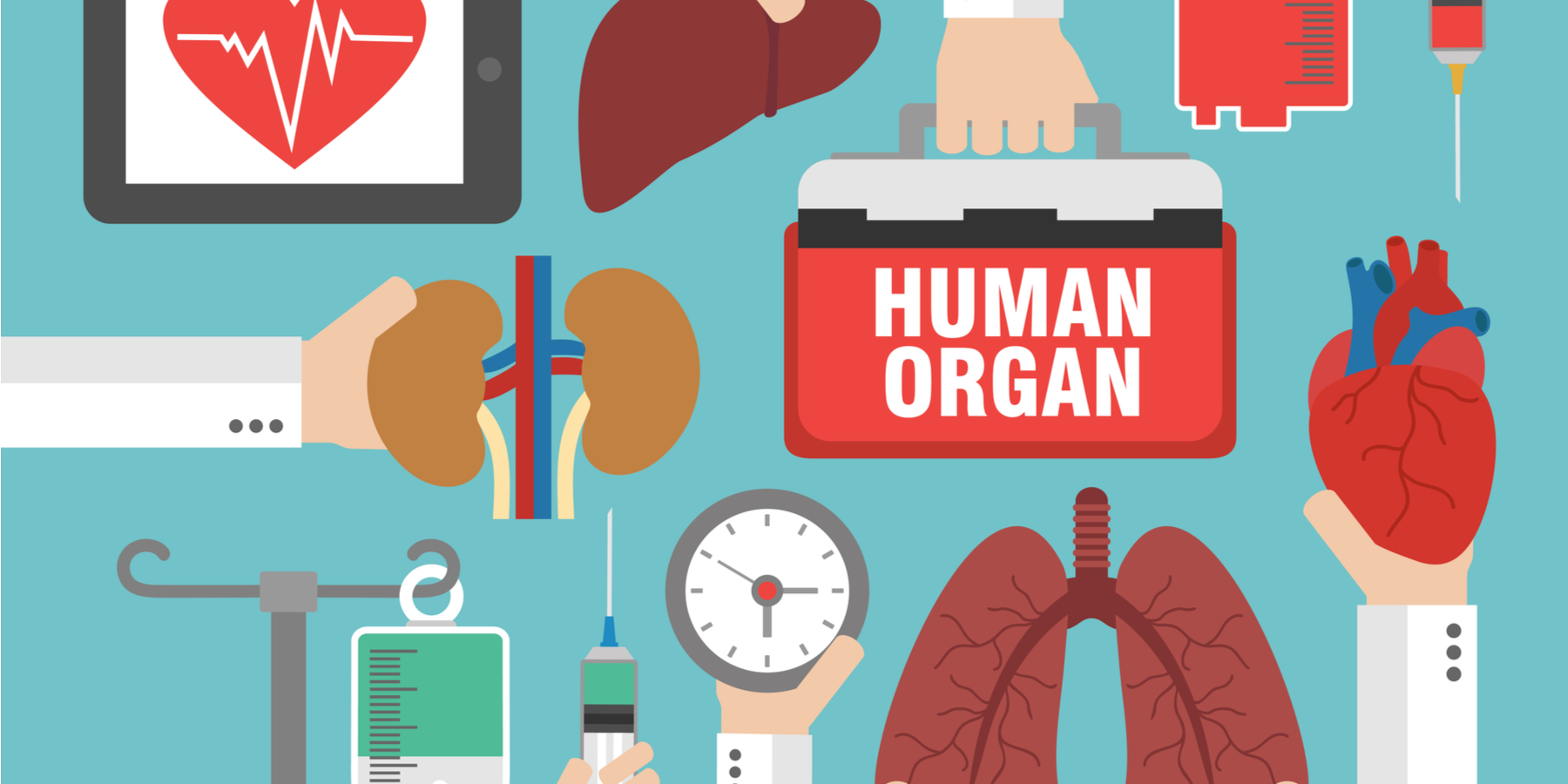 The Frontiers of Organ Transplantation: “Oh, The Places We’ll Go ...