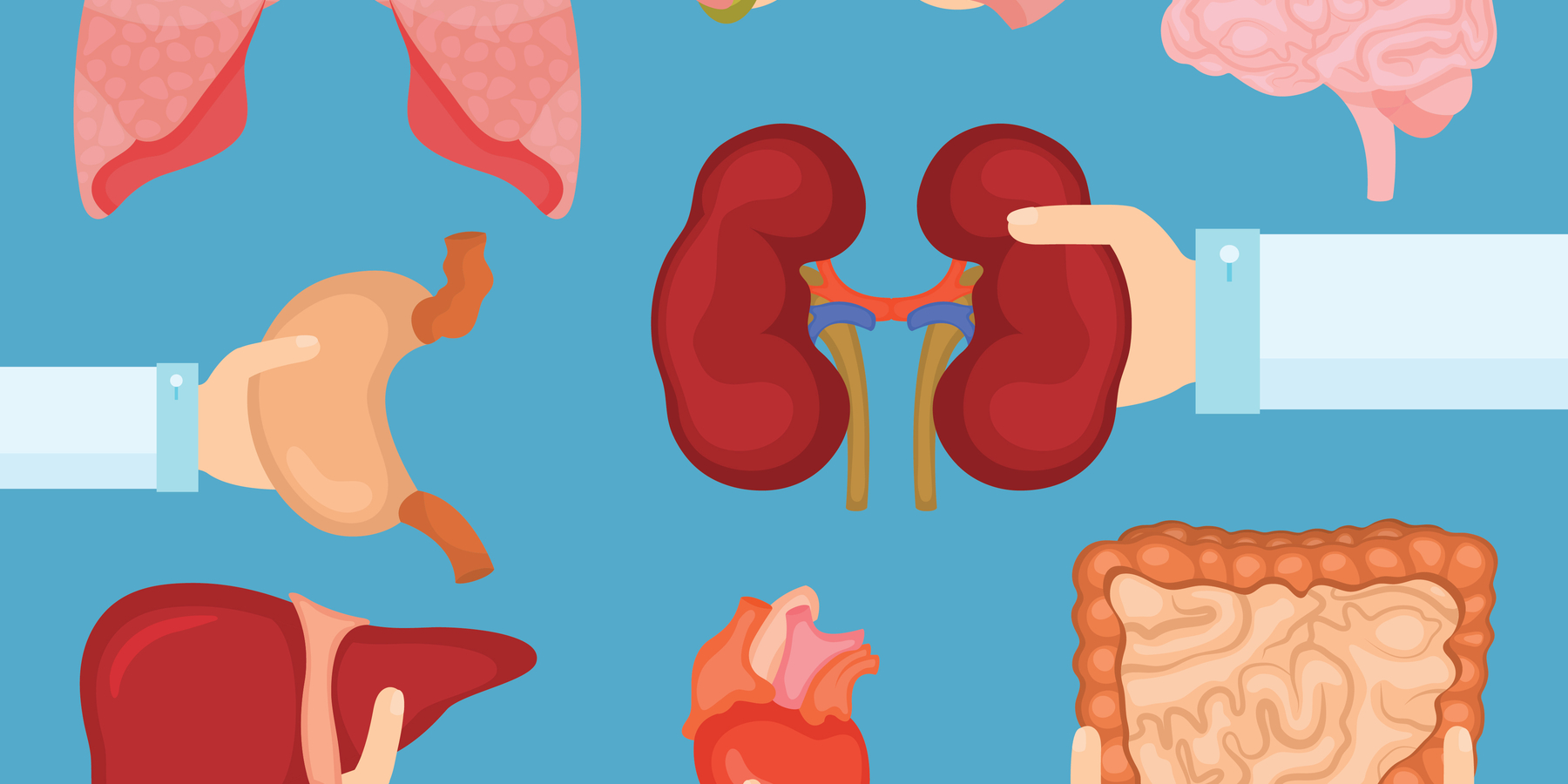 Consumerist Responses to Scarcity of Organs for Transplant | Journal of ...