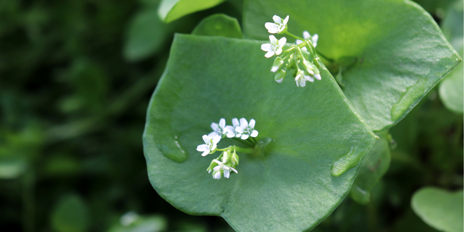 Diagnostic Criteria for Persistent Vegetative State | Journal of Ethics ...