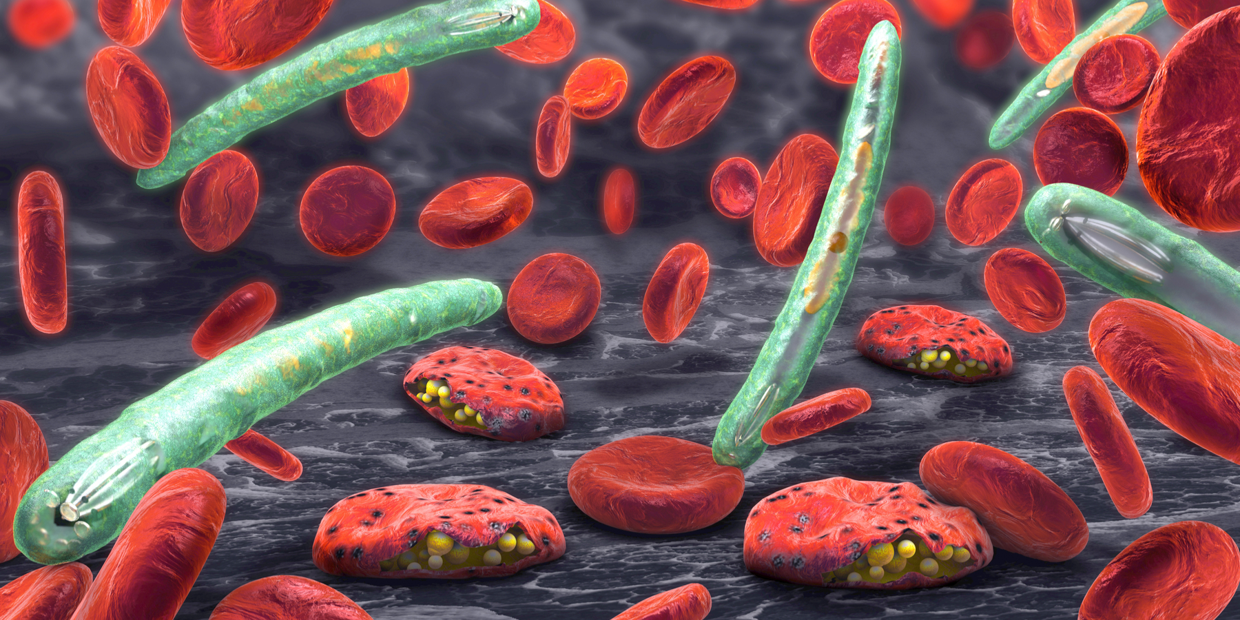 Malaria And Global Infectious Diseases Why Should We Care Journal