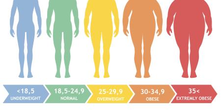 Media Portrayal of People Who are Obese | Journal of Ethics | American ...